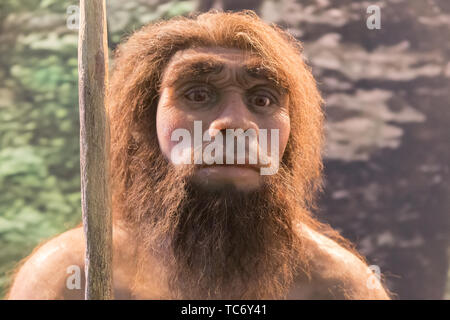 Side View Of Homo sapiens Skull Skhul 5 Stock Photo - Alamy