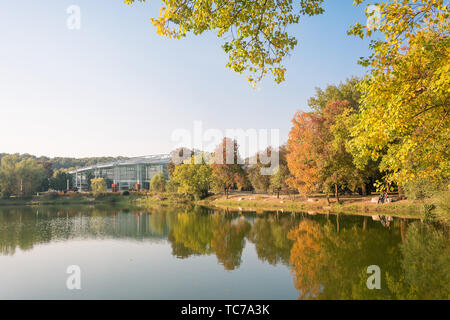 Nanjing Autumn Zhongshan Botanical Garden Qianhu autumn tallow tree ...