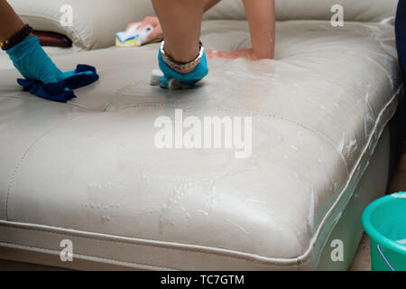 ladies cleaning leather sofa with soapy sponge Stock Photo - Alamy