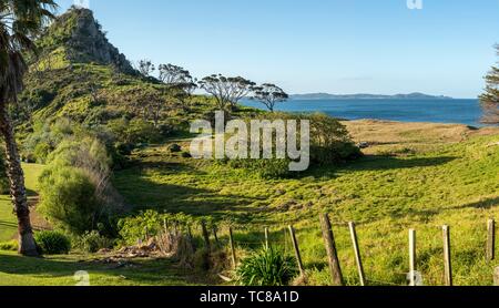 Treasure Island, Pataua, North Island, New Zealand Stock Photo - Alamy