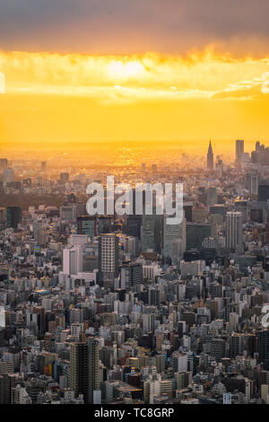 Tokyo Sky Tree and sunset Stock Photo - Alamy
