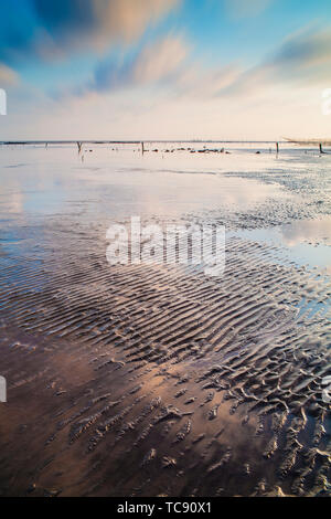 Shanghai East China Sea Scenery Stock Photo - Alamy