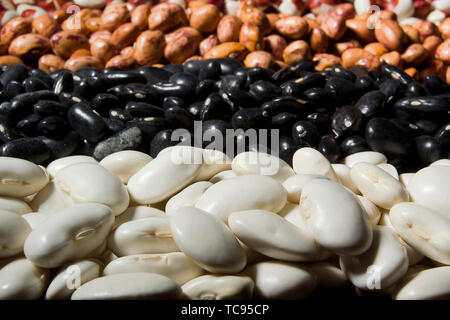 Mix of different in size and color of beans Stock Photo - Alamy