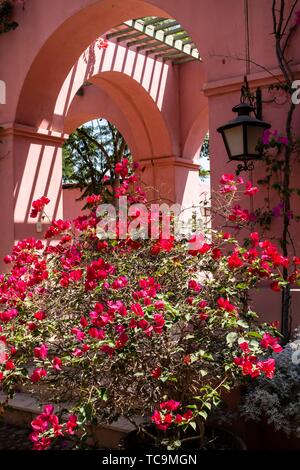 Tacama wine cellar, the oldest winery in America, Ica, Peru Stock Photo ...