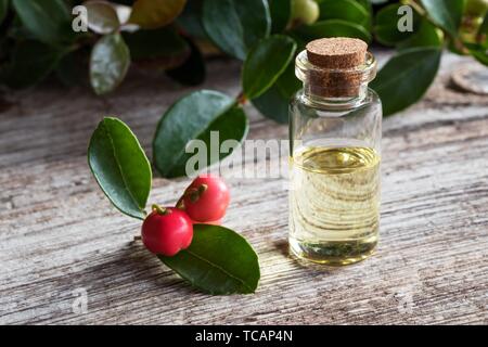 Close-up of the bottle green painted brick wall background texture ...
