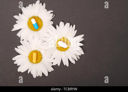 Chamomile flowers, homeopathic medicine. Tablets on yellow pollen Stock ...