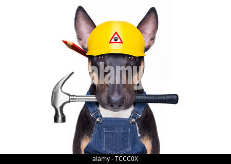 handyman pit bull terrier dog worker with work tool in mouth, ready to ...