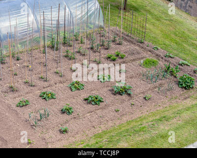 Design of urban farm rooftop garden at Funan Mall, Singapore Stock ...
