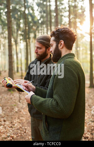 Two foresters measure tree height using the laser rangefinder Stock ...