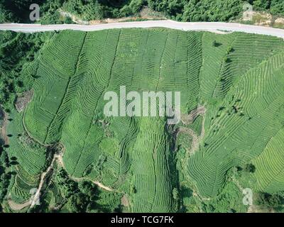 Dushan, China. 8th June, 2019. Aerial photo taken on June 8, 2019 shows ...