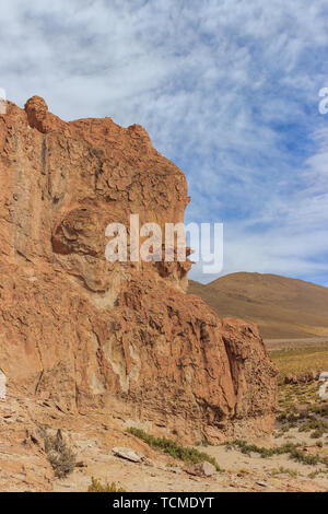 interesting looking stones in the salar de uyuni, bolivia Stock Photo ...