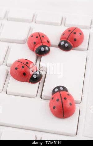Ladybirds / ladybugs on blank white Qwerty PC keyboard - visual ...
