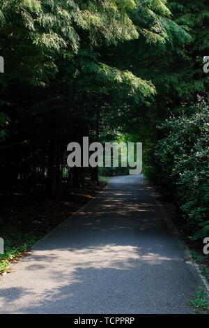 Shanghai Binjiang Forest Park Scenery Stock Photo - Alamy