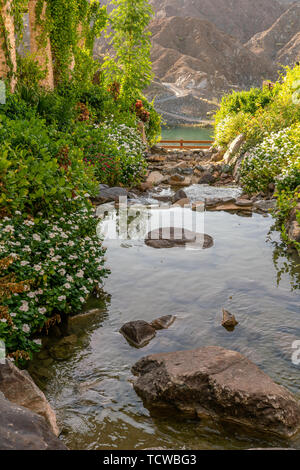 June 6, 2019 - Khor Fakkan, UAE: Garden around the water spring at Al ...
