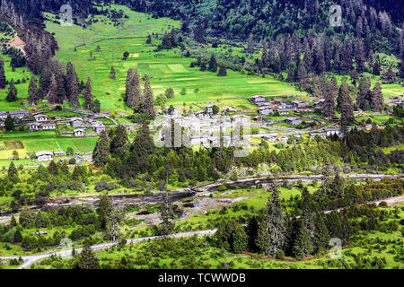 Scenery of Yingzhi Lulang Linhai, Tibet Autonomous Region, China Stock ...