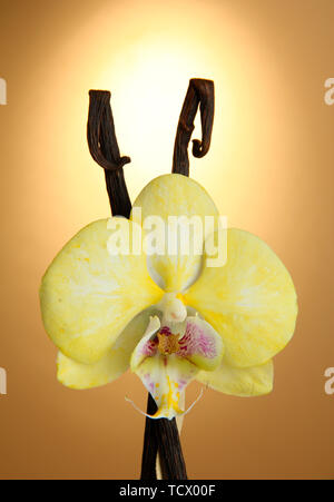 Vanilla pods with flower, on beige background Stock Photo - Alamy