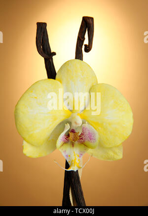 Vanilla pods with flower, on beige background Stock Photo - Alamy