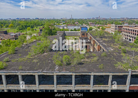 Detroit, Michigan - A forest of trees grows on the roof of the old ...