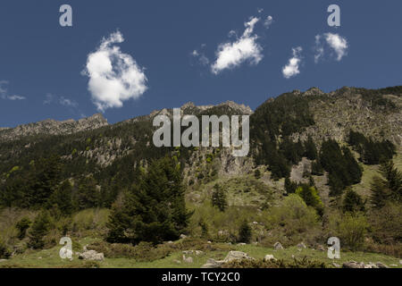 France French Pyrenees natural wild wildlife environment environmental ...