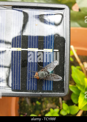 Top down view of solar panel assembly line operated by high-tech robot ...