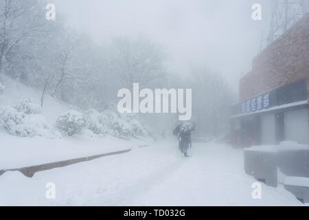Nanjing Purple Jinshan heavy snow winter snow scenery Stock Photo - Alamy