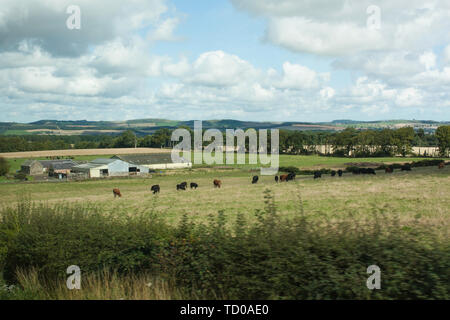 The pastoral scenery of England is like a pastoral song, like an ...