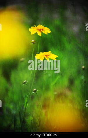 The light and shadow under the film lens -----The light and shadow of ...