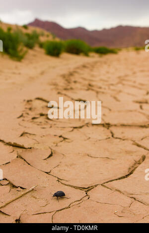 The Gobi Desert in Baicheng County, Xinjiang Stock Photo - Alamy