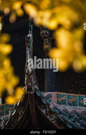 Chengdu Qingyang Palace Ginkgo biloba scenery Stock Photo - Alamy