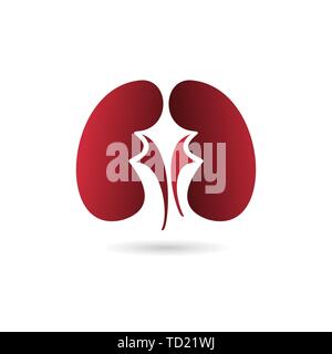 Simple kidneys purple gradient icon. Symbol and sign vector ...
