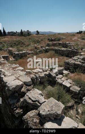 Tell Balata ruins in Nablus, West Bank Stock Photo - Alamy