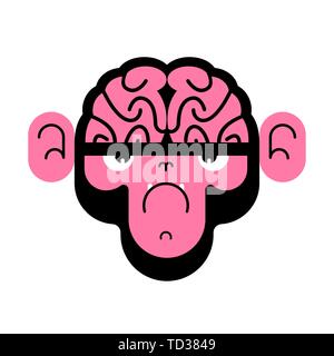 Monkey with brain. Gorilla with brains. Vector illustration Stock Vector Image & Art - Alamy
