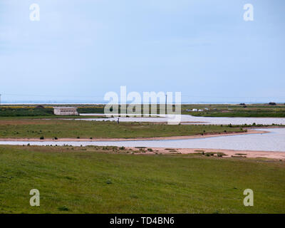 Kilnsea Wetlands nature reserve, Yorkshire June 2019 Stock Photo - Alamy