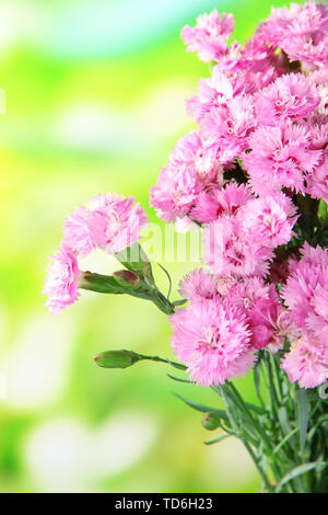 Many small pink cloves on pink background Stock Photo - Alamy