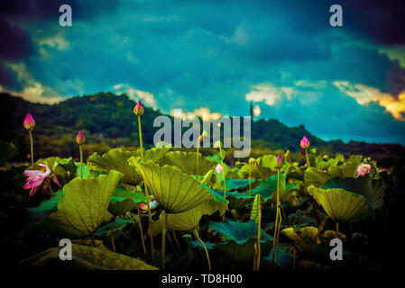 Photo the beautiful scenery after crossing the border with Typhoon West ...