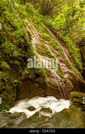 A stream at the seam of the Wulong Long Water Gorge Stock Photo - Alamy
