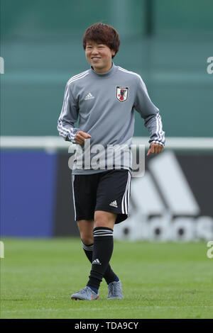 FIFA WOMEN'S WORLD CUP FRANCE 2019. Stade du parc des Prince, Paris (75 ...