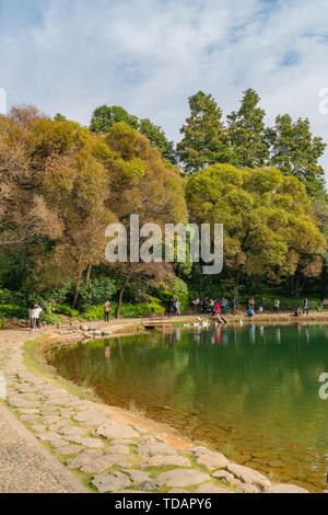 Dali Butterfly Spring scenery Stock Photo - Alamy