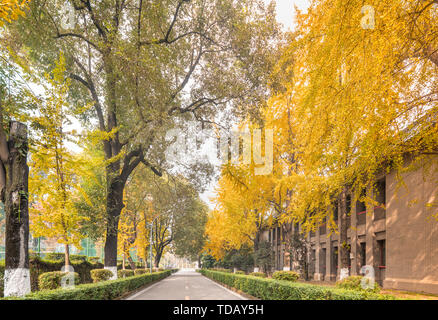 Autumn View of Sichuan University Campus Stock Photo - Alamy