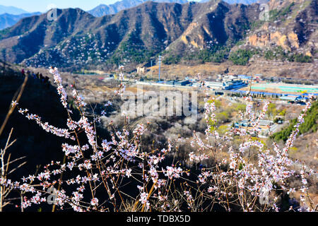 Beijing Line S2, train for spring Stock Photo - Alamy