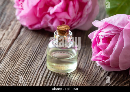 A bottle of essential oil with fresh cabbage roses on a table Stock ...