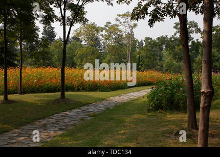 Shanghai Binjiang Forest Park Scenery Stock Photo - Alamy