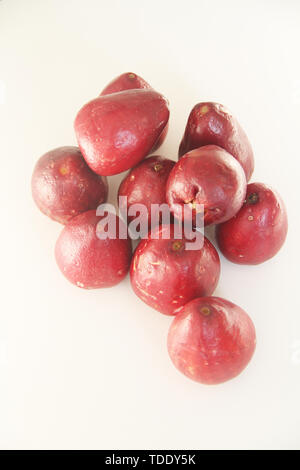 Syzygium jambos, jambo-rosa, jambo, São Paulo, Brazil Stock Photo - Alamy