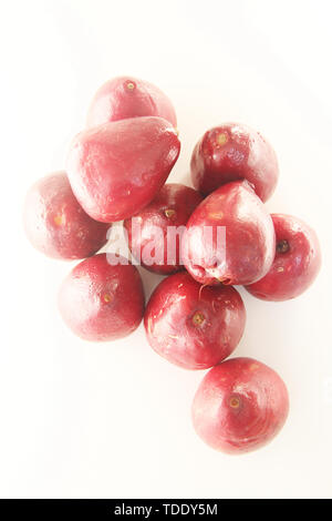 Syzygium jambos, jambo-rosa, jambo, São Paulo, Brazil Stock Photo - Alamy