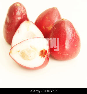 Syzygium jambos, jambo-rosa, jambo, São Paulo, Brazil Stock Photo - Alamy