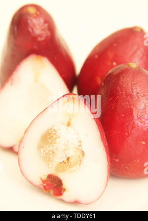 Syzygium jambos, jambo-rosa, jambo, São Paulo, Brazil Stock Photo - Alamy