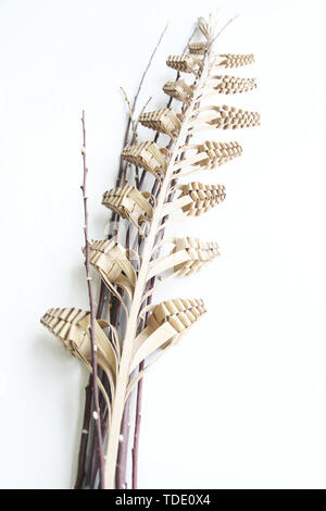 Dry handcraft flower in isolated white background, São Paulo, Brazil ...