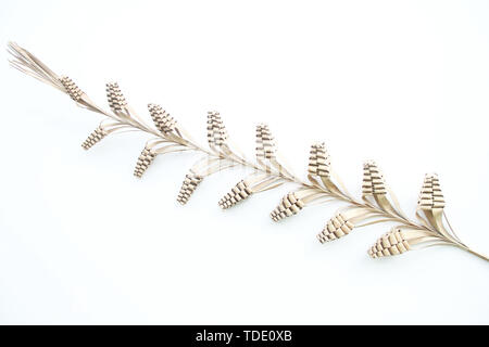 Dry handcraft flower in isolated white background, São Paulo, Brazil ...