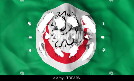 Flag of the Organisation of Islamic Cooperation with a small hole ...