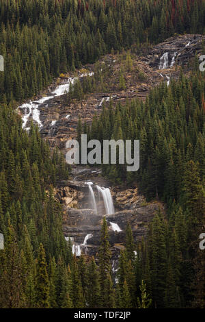 River in Yoho Valley, Angels Staircase Falls Yoho Nationalpark, British ...